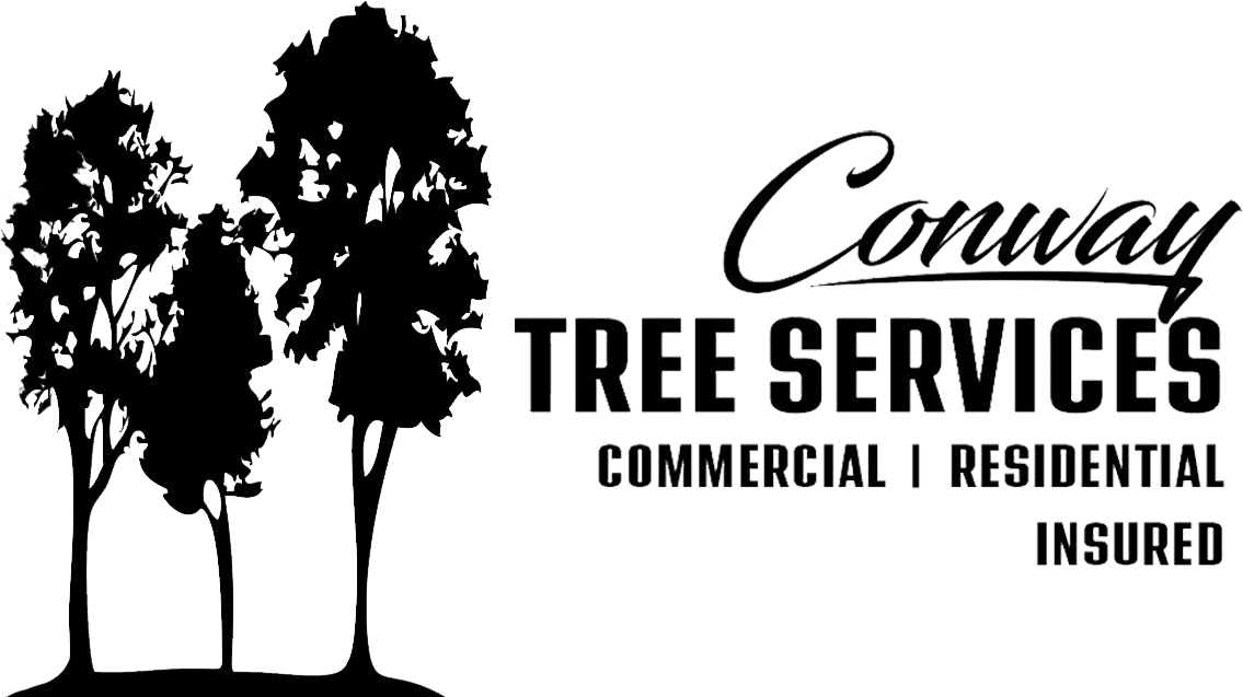 Tree Services Gallery | Conway Tree Service